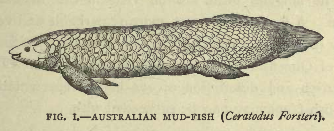 Alyssa Everett (@regencywriter@mas.to) - mas.to