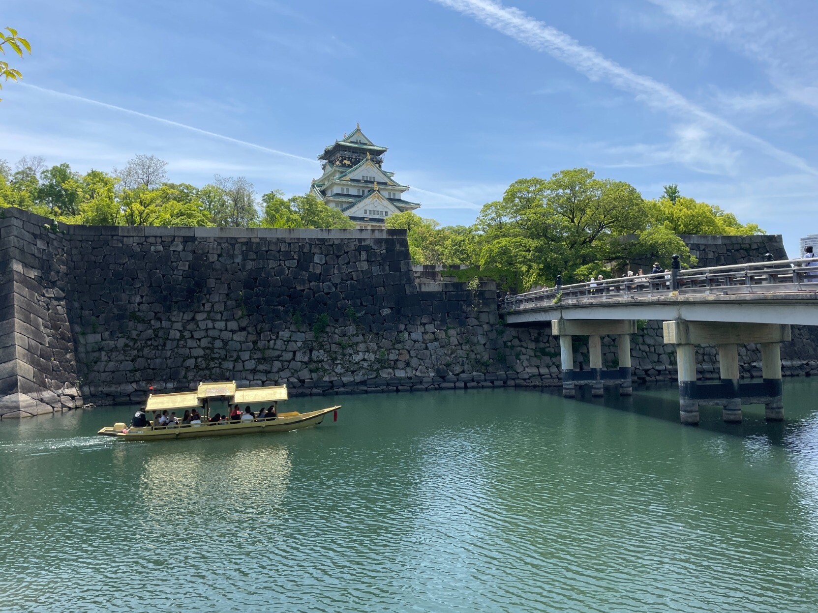 Japanned Steve McCarty (@SteveMcCarty@hcommons.social) - hcommons.social