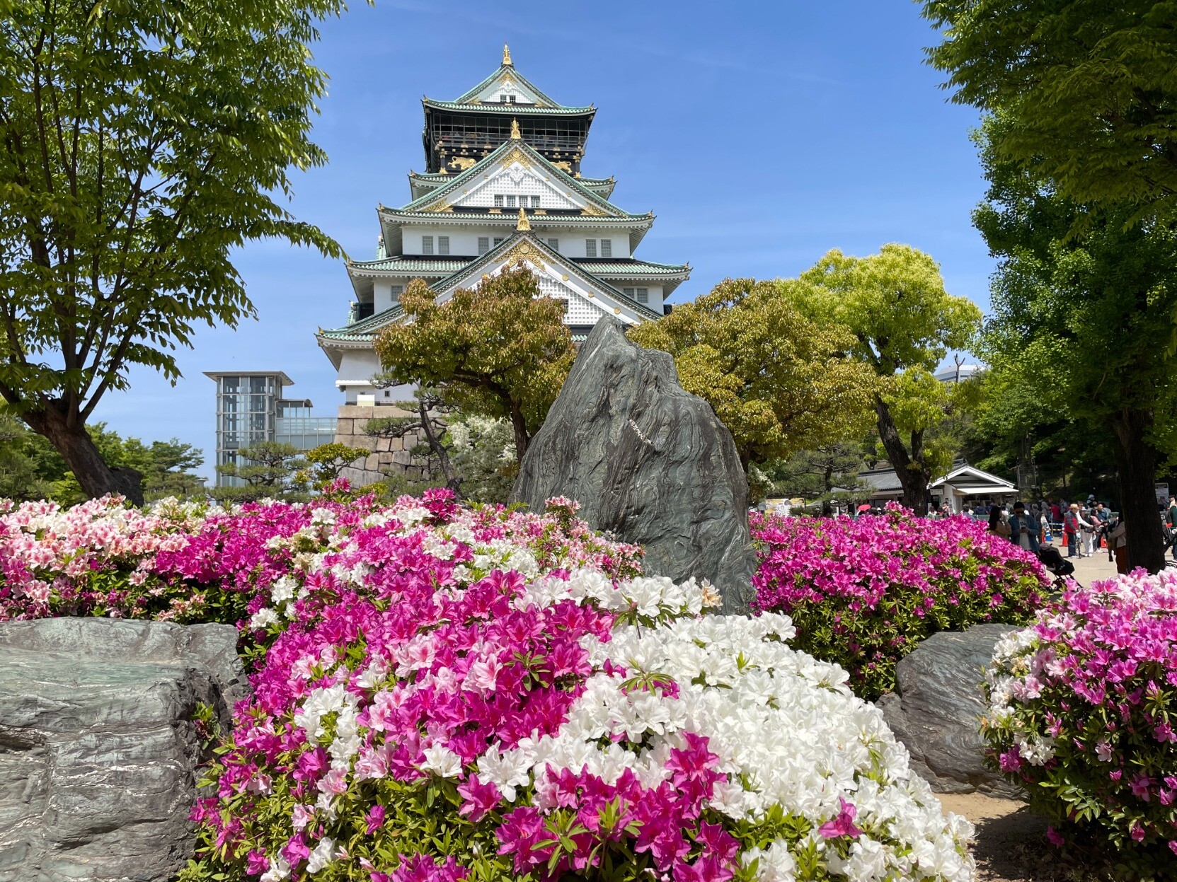 Japanned Steve McCarty (@SteveMcCarty@hcommons.social) - hcommons.social