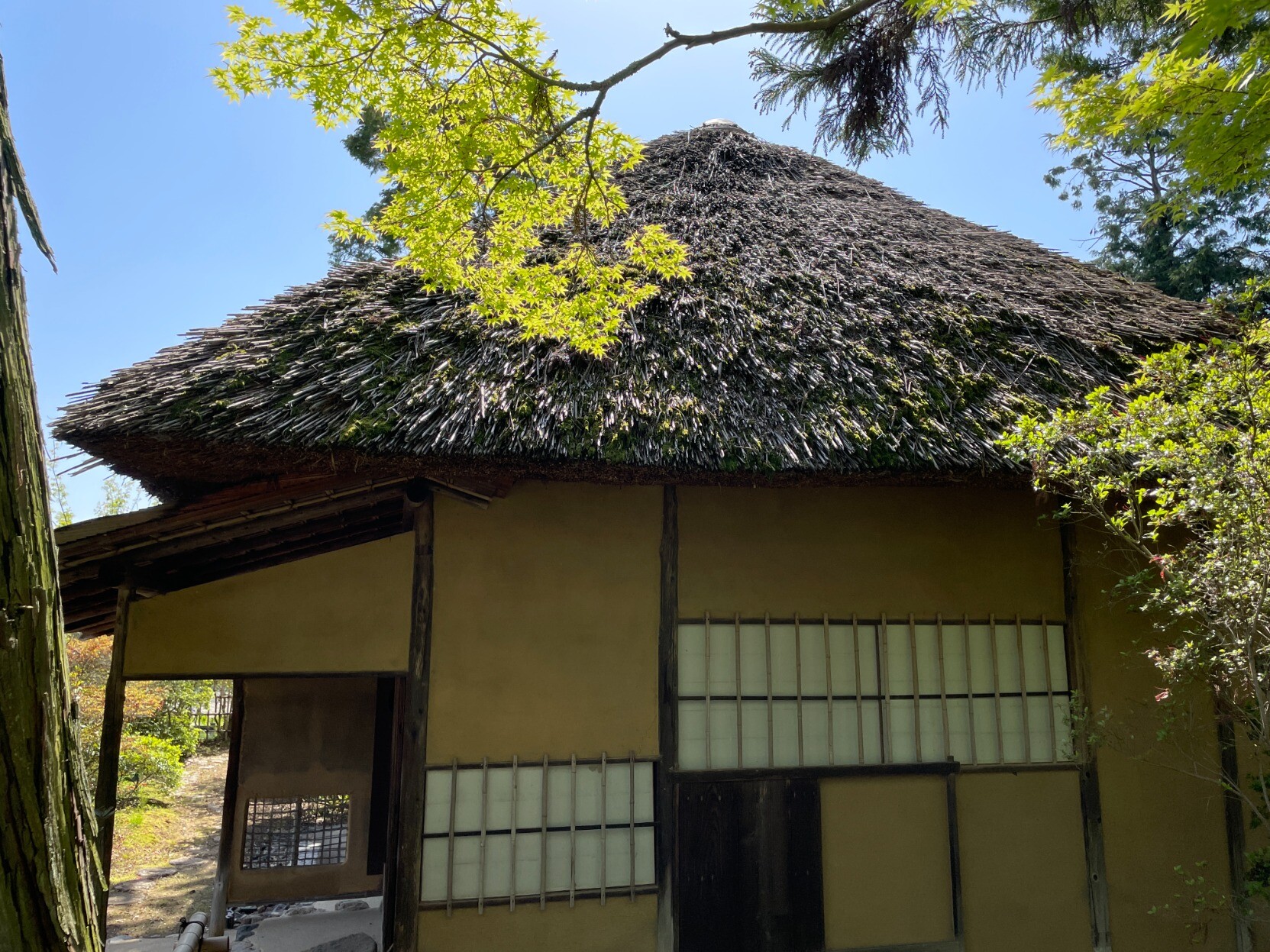 Japanned Steve McCarty (@SteveMcCarty@hcommons.social) - hcommons.social